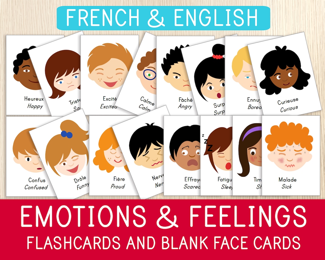 French & English Emotions Flashcards and Blank Face Flashcards ...