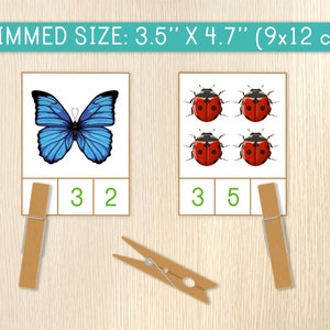 Insect Count & Clip Cards - Numbers 1-20 - Counting Flashcards ...