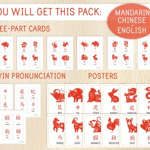 Chinese Zodiac Animals - Chinese Mandarin& English - Bilingual, Three ...