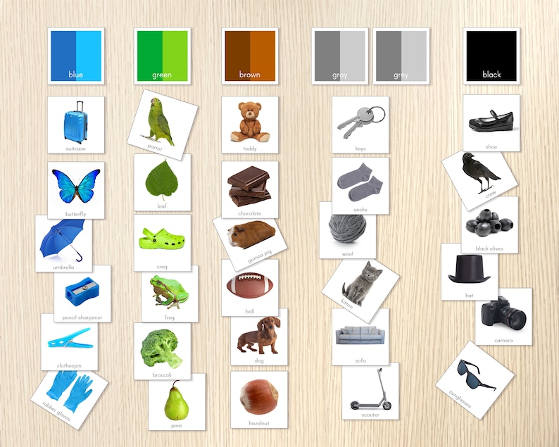 Color Sorting Cards Color Matching Montessori Activity - Etsy