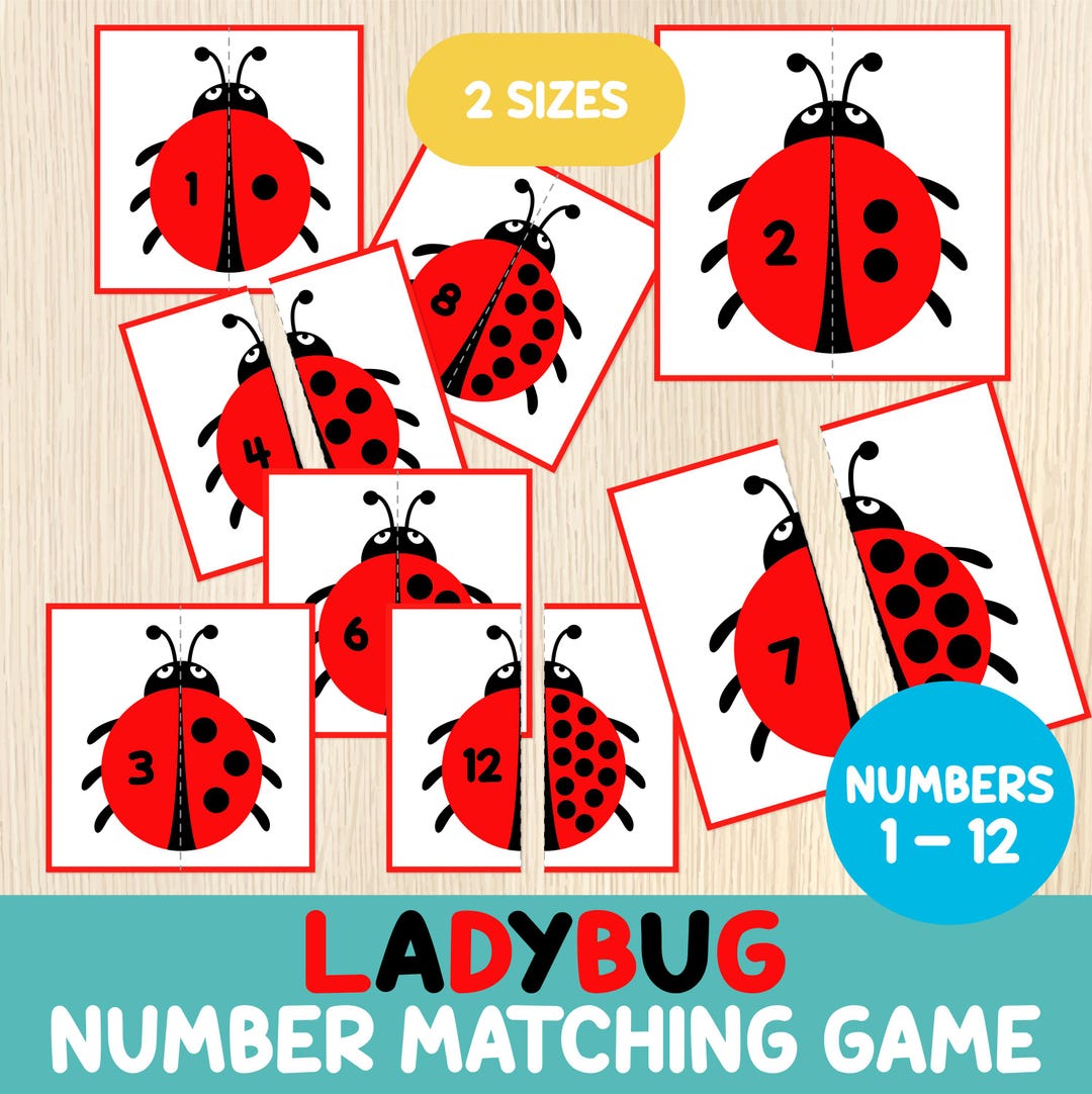 Ladybug Number Matching Game – Number Recognition Activity for ...