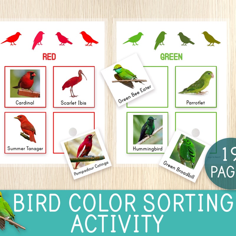 Color Unit Kindergarten - Etsy