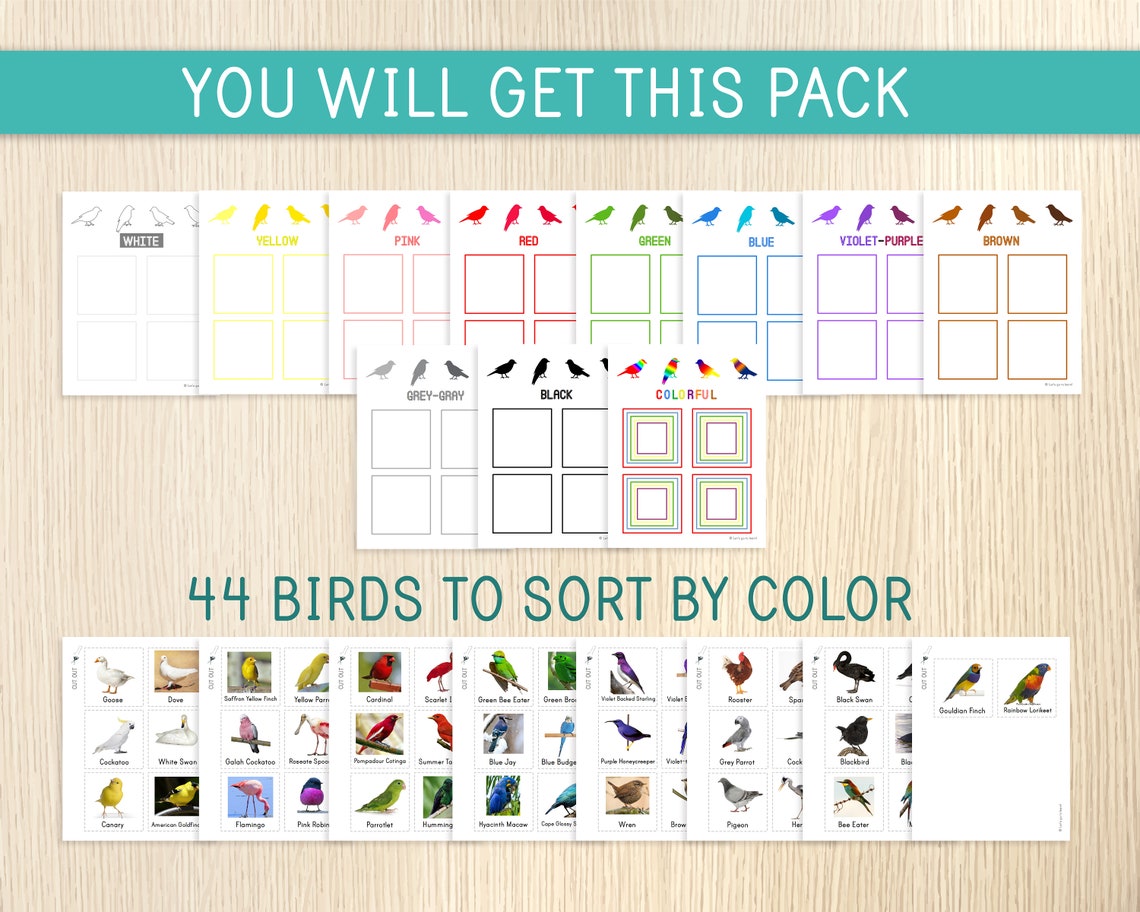 Bird Color Sorting Activity Birds and Colors for Kids - Etsy