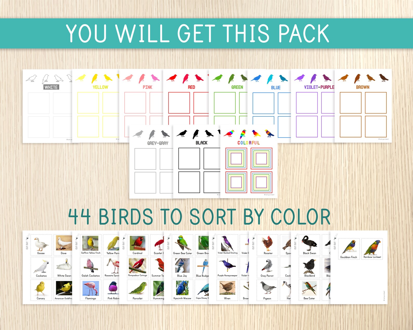Bird Color Sorting Activity Birds and Colors for Kids - Etsy