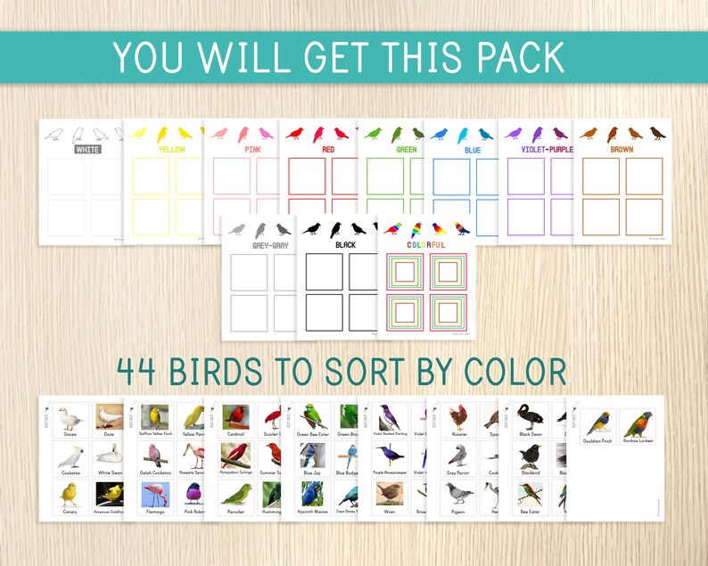 Bird Color Sorting Activity Birds and Colors for Kids - Etsy