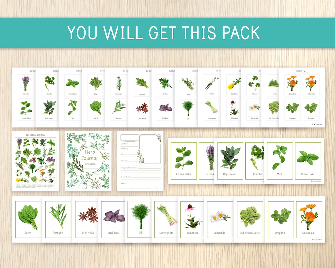 Garden Herbs BUNDLE 26 Herbs Flashcards 3-part Cards | Etsy