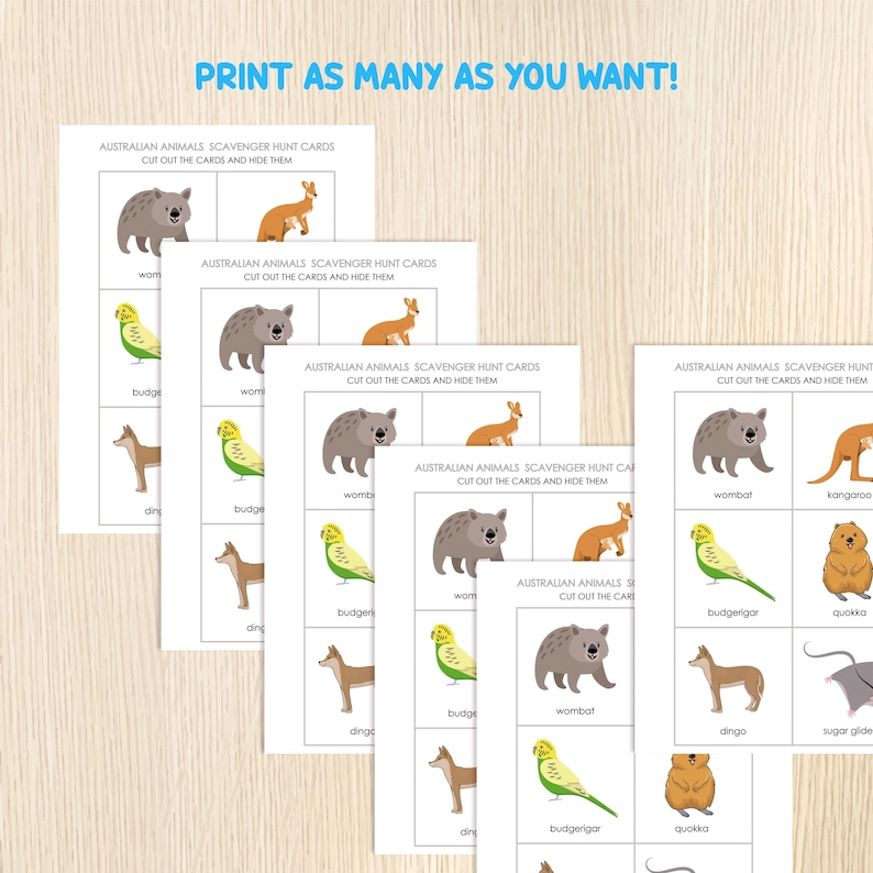Australian Animals Scavenger Hunt Game- Indoor Outdoor Bugs Treasure ...
