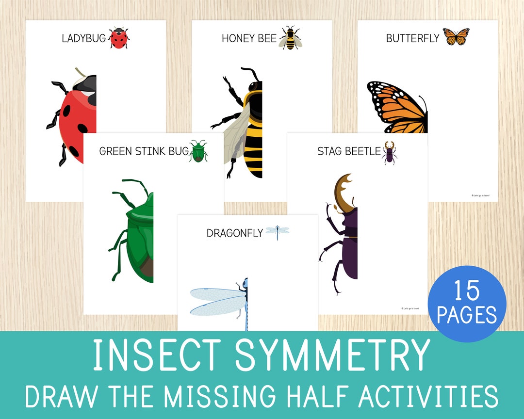 Insects Symmetry, Draw the Missing Half Activity, Bugs Drawing ...