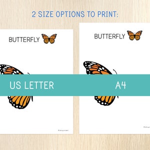 Insects Symmetry, Draw the Missing Half Activity, Bugs Drawing ...