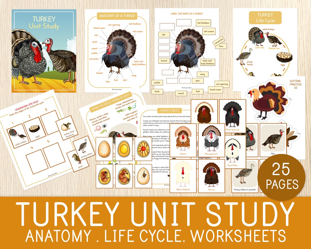 Turkey Unit Study, Anatomy, Life Cycle, Flashcards, Breeds, Worksheets ...