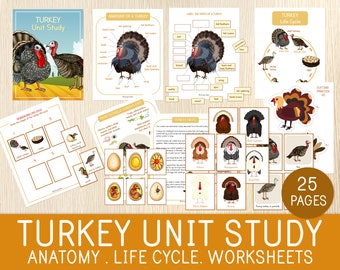 Life Cycle of A Pumpkin Worksheets & Teaching Resources. - Etsy