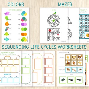 Spring Worksheets, Spring Learning Pack, Spring Busy Book, Preschool ...