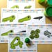 Frog Life Cycle Playdough Mats, Play Doh Activity, Preschool Game, Pre ...