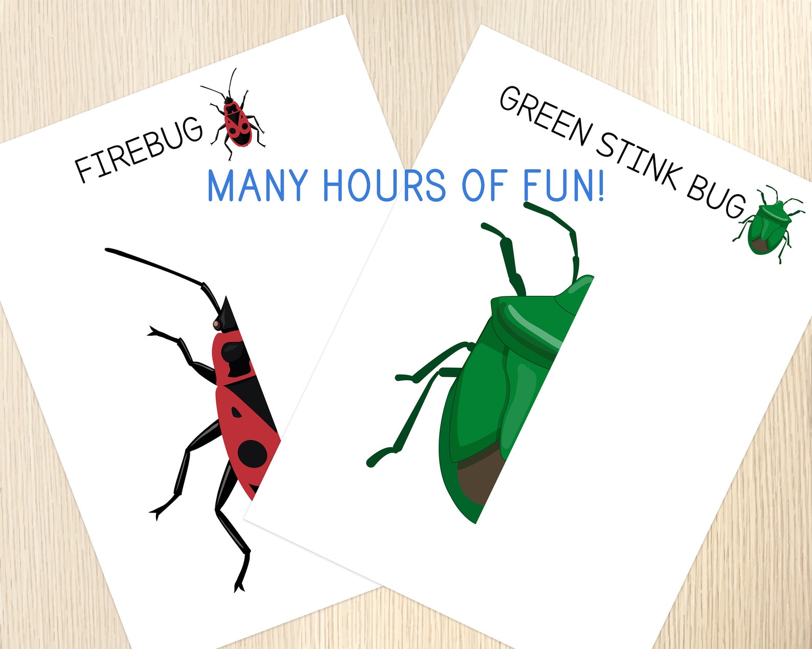 Insects Symmetry, Draw the Missing Half Activity, Bugs Drawing ...