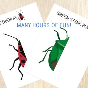 Insects Symmetry, Draw the Missing Half Activity, Bugs Drawing ...