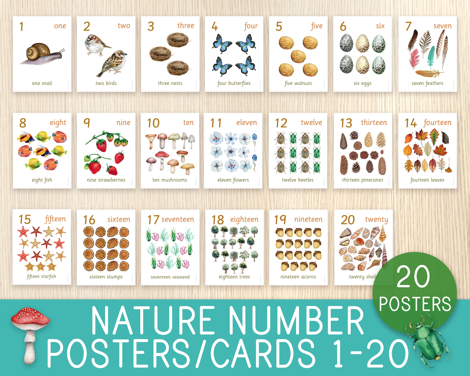 Nature Number Posters Counting Cards Numbers 1-20 Home and - Etsy