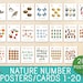 Nature Number Posters, Counting Cards, Numbers 1-20, Home and Classroom ...