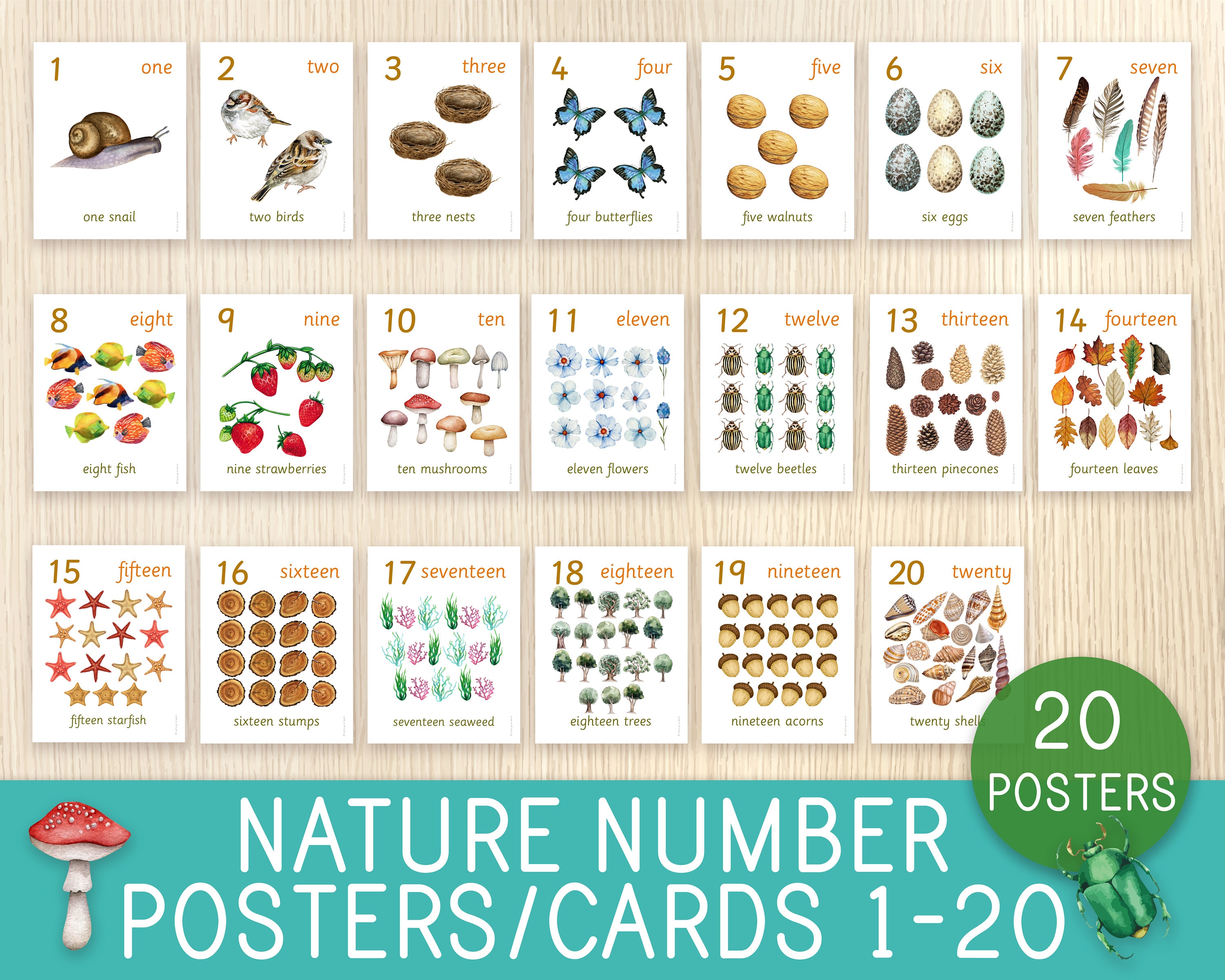 Nature Number Posters, Counting Cards, Numbers 1-20, Home and Classroom ...
