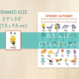 Spanish Alphabet BUNDLE, 27 Flashcards, 1 Chart & 1 Pronunciation ...