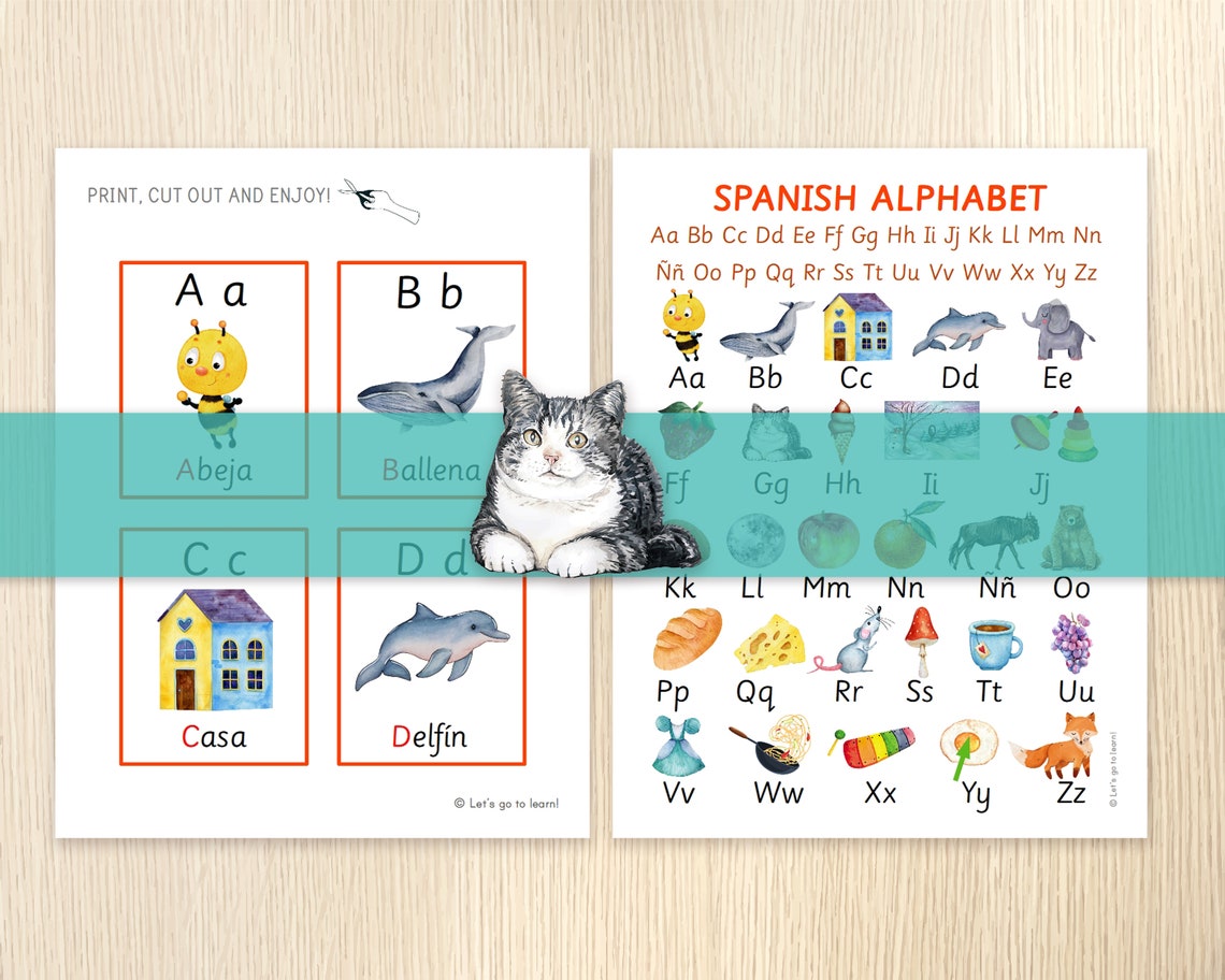 Spanish Alphabet BUNDLE 27 Flashcards 1 Chart & 1 - Etsy