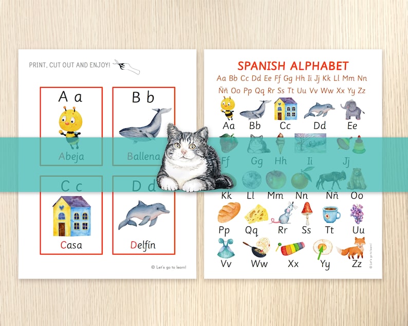 Spanish Alphabet BUNDLE 27 Flashcards 1 Chart & 1 - Etsy