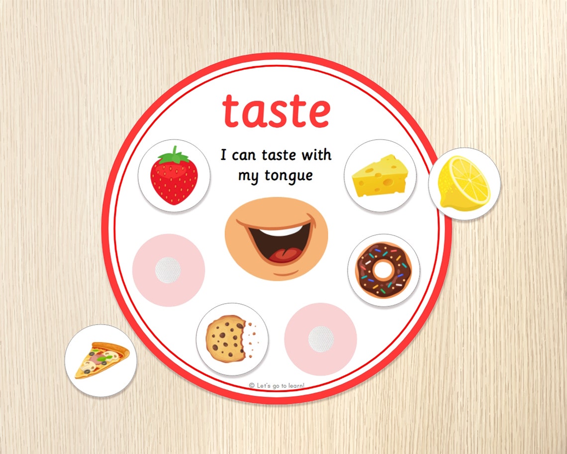 Five Senses Sorting Activity, 5 Senses Classification Game, Preschool ...