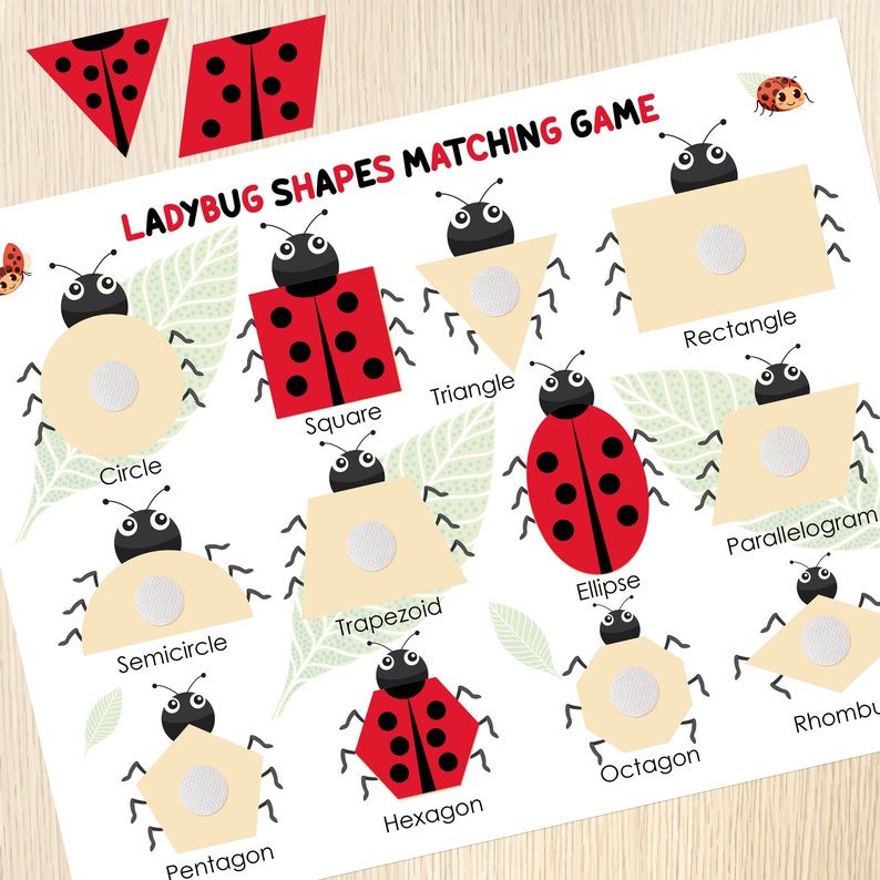 Ladybug Shapes Matching Activity, 2D Shapes Game, Spring Summer ...