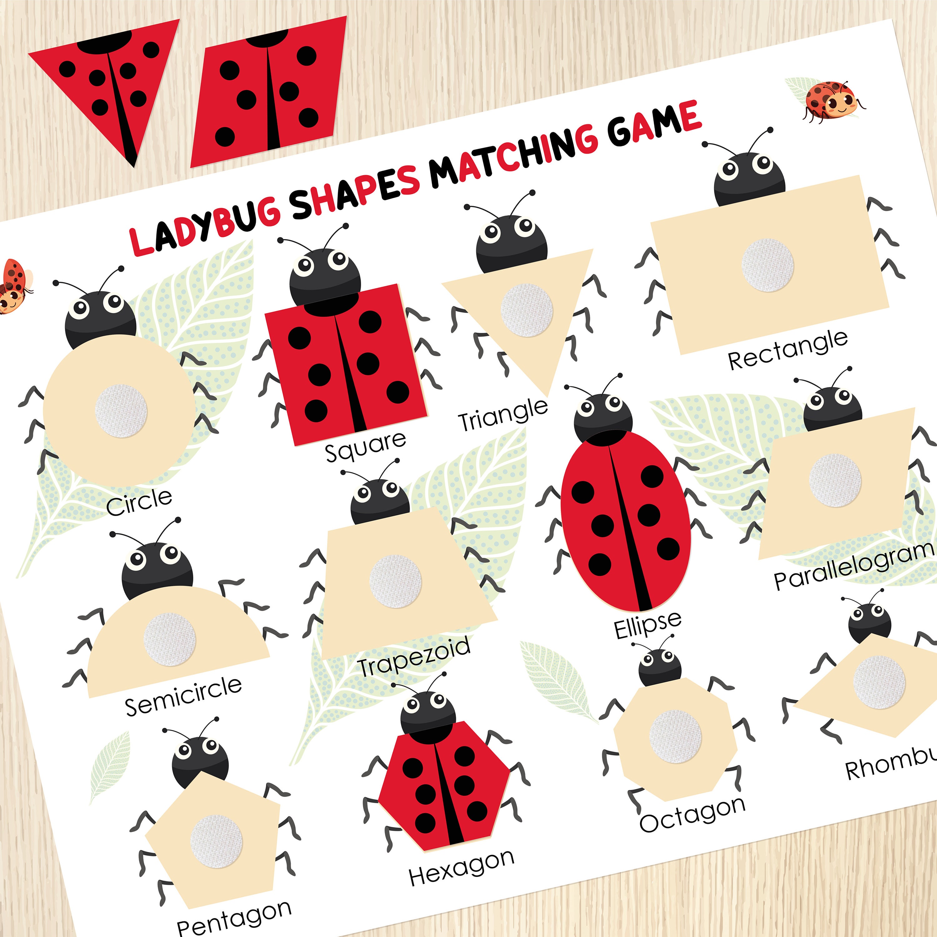 Ladybug Shapes Matching Activity, 2D Shapes Game, Spring Summer ...