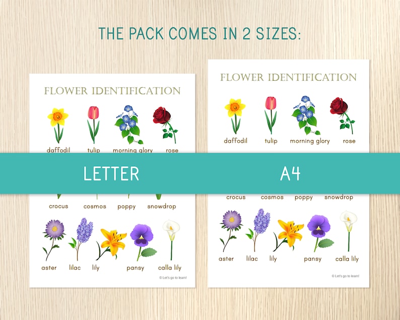 Flower Identification Charts, 3 Charts, 40 Flowers, Spring Activity ...