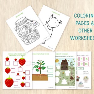 Spring Worksheets, Spring Learning Pack, Spring Busy Book, Preschool ...