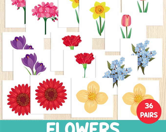 Flowers Memory Game - 36 Cards - Matching Activity - Toddler, Preschool ...