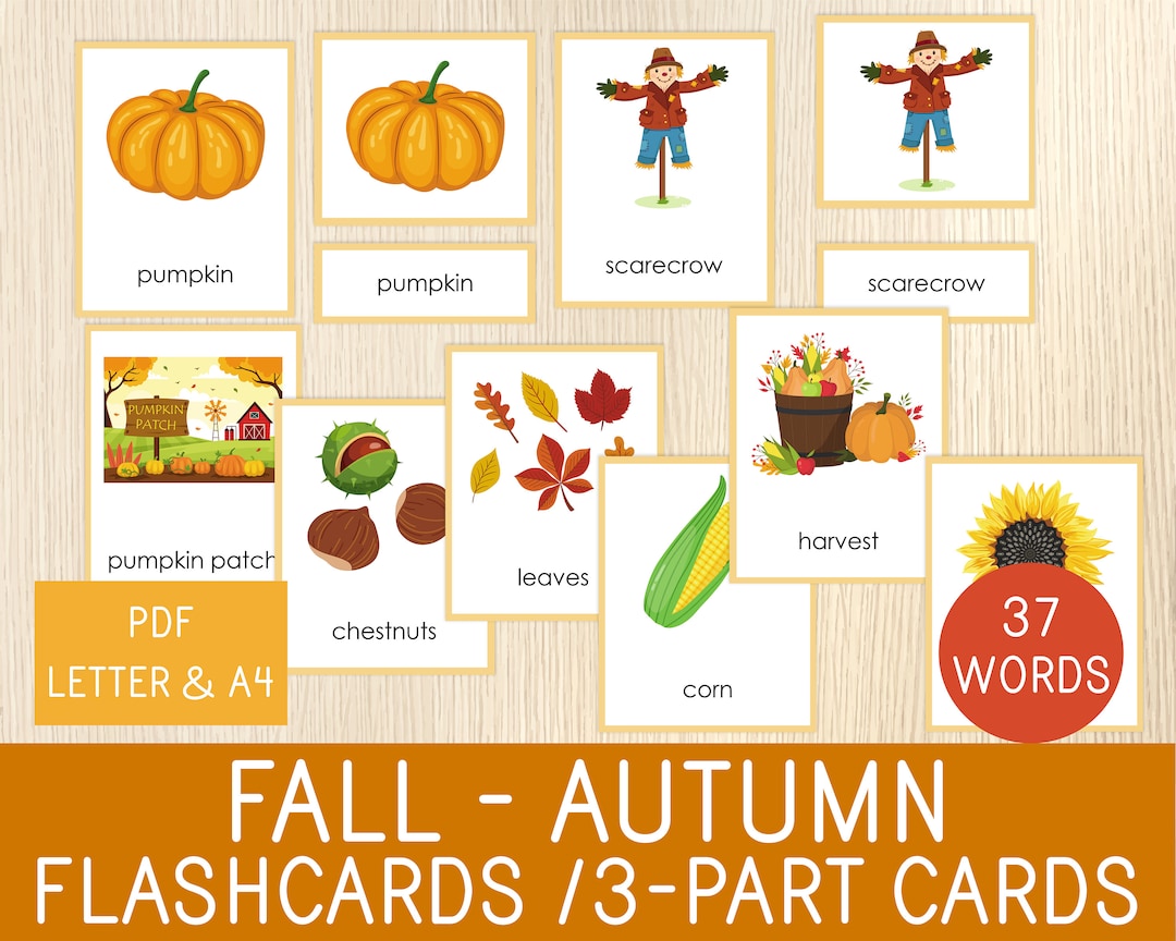 Fall Flashcards, 3-part Cards, Autumn Vocabulary, Nomenclature Cards ...