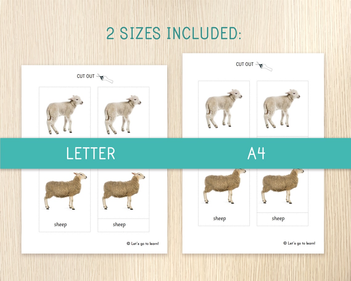 Farm Animals 3-part Cards, 25 Animals, Flashcards, Nomenclature Cards ...