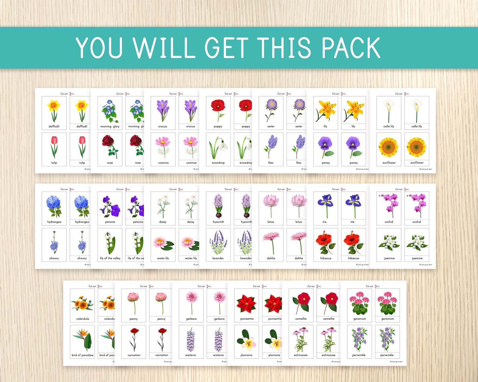 Flower 3-part Cards and Posters 40 Nomenclature Cards 3 - Etsy