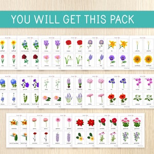Flower 3-part Cards and Posters, 40 Nomenclature Cards, 3 Charts ...