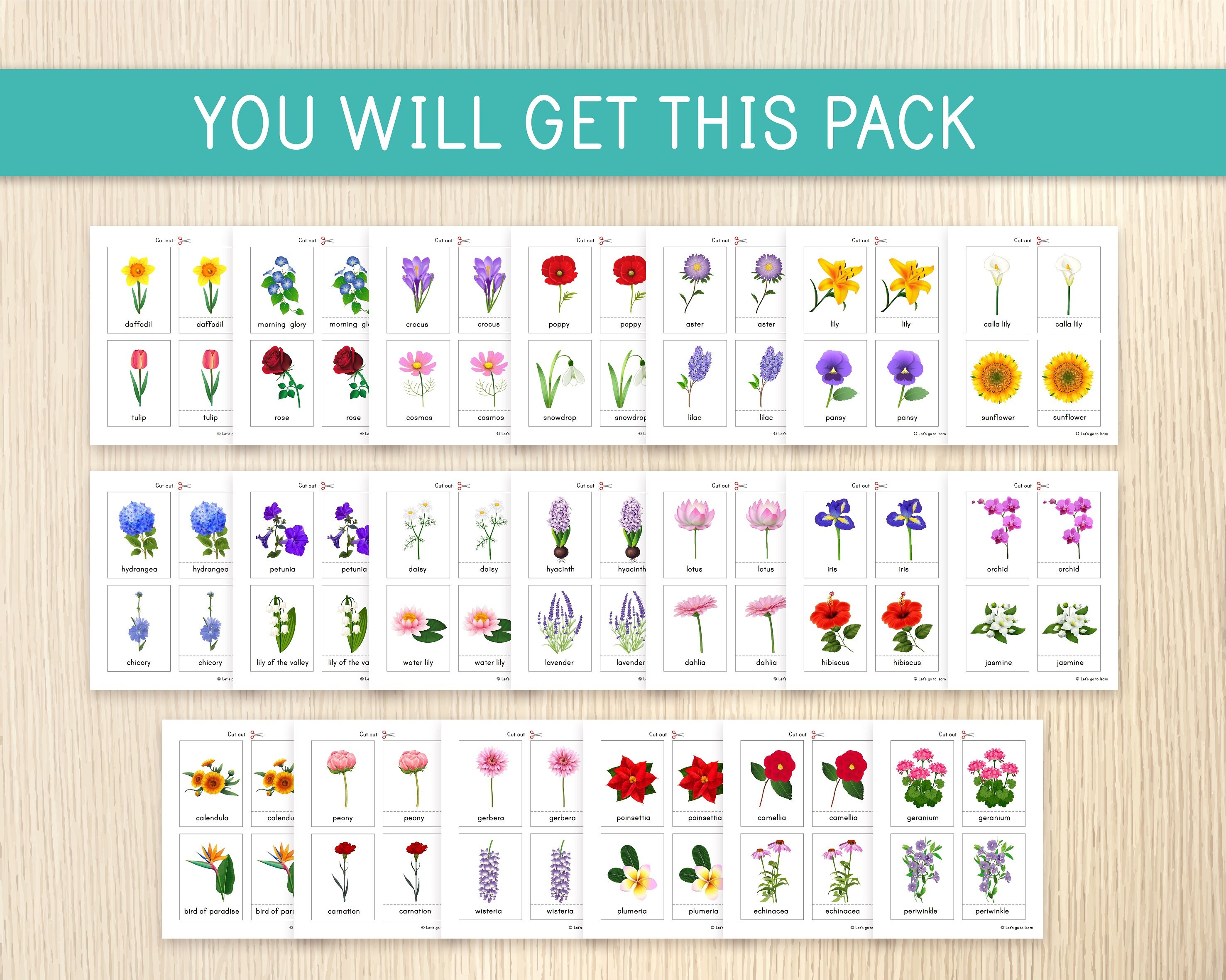 Flower 3-part Cards and Posters 40 Nomenclature Cards 3 - Etsy