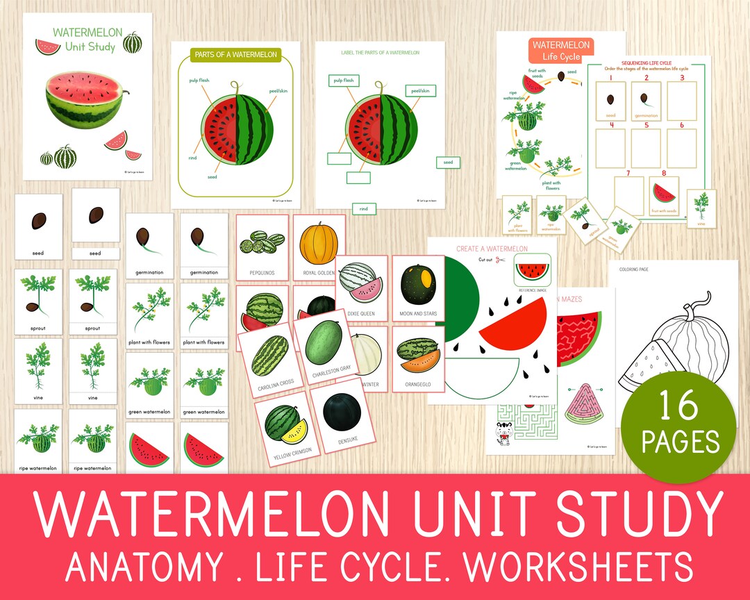 Watermelon Unit Study, Parts, Life Cycle, Varieties, Worksheets ...
