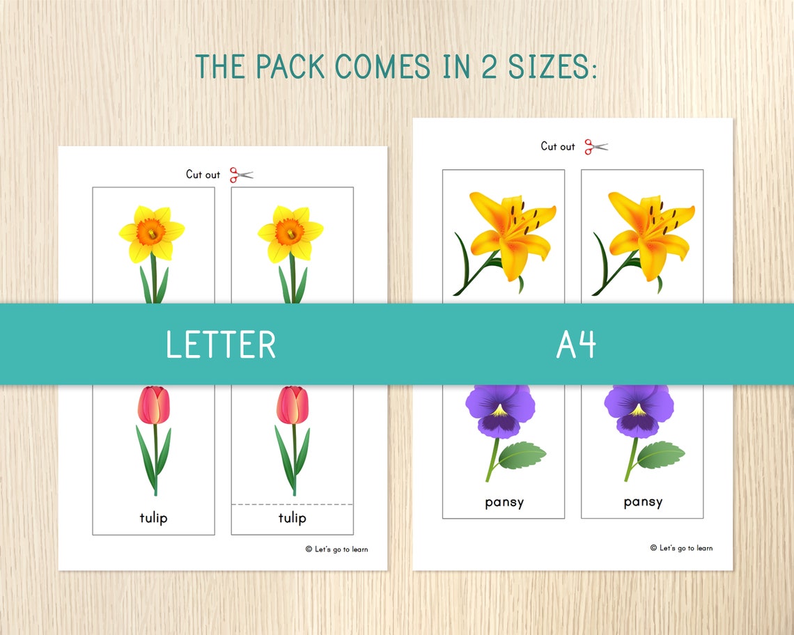 Flower 3-part Cards Nomenclature Cards Montessori Cards 40 - Etsy