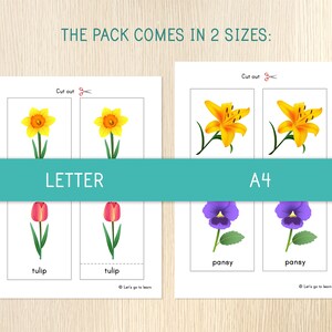 Flower 3-part Cards - Nomenclature Cards - Montessori Cards - 40 Flower ...