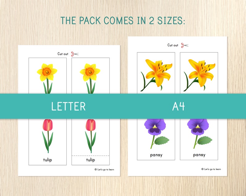 Flower 3-part Cards - Nomenclature Cards - Montessori Cards - 40 Flower ...