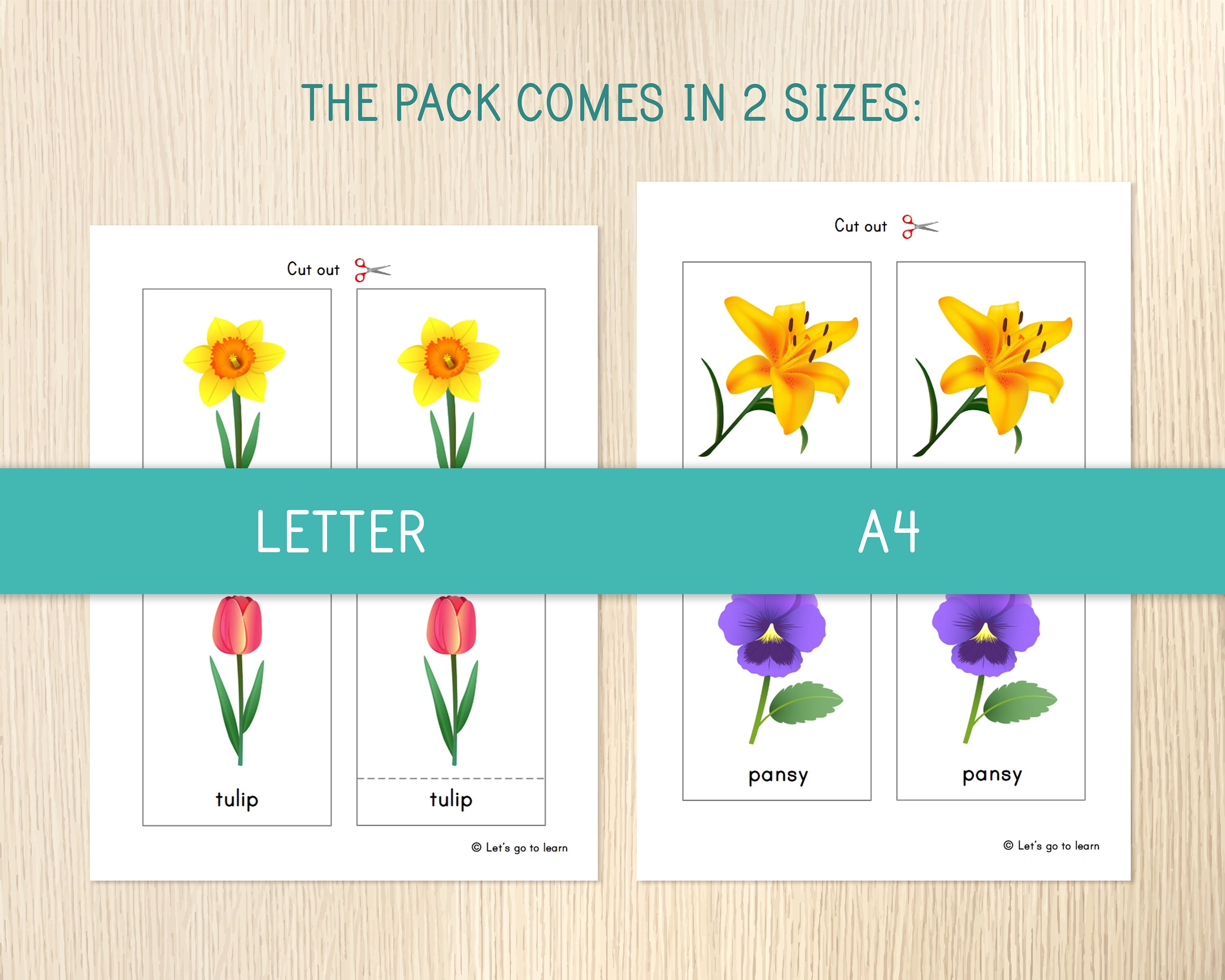 Flower 3-part Cards - Nomenclature Cards - Montessori Cards - 40 Flower ...