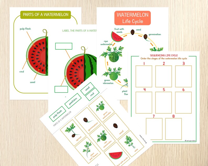 Watermelon Unit Study Parts Life Cycle Varieties - Etsy