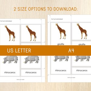 African Animals 3-part Cards - Nomenclature Cards - Africa Unit Study ...