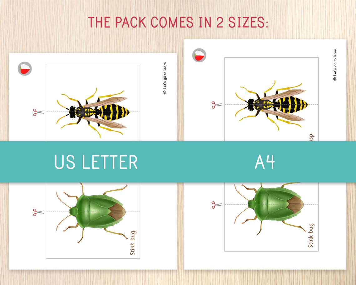 Insect Matching Activity 30 Insect Puzzles Symmetry Kids | Etsy