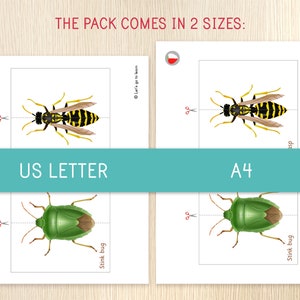 Insect Matching Activity, 30 Insect Puzzles, Symmetry, Kids Puzzles ...