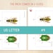 Insect Matching Activity, 30 Insect Puzzles, Symmetry, Kids Puzzles ...