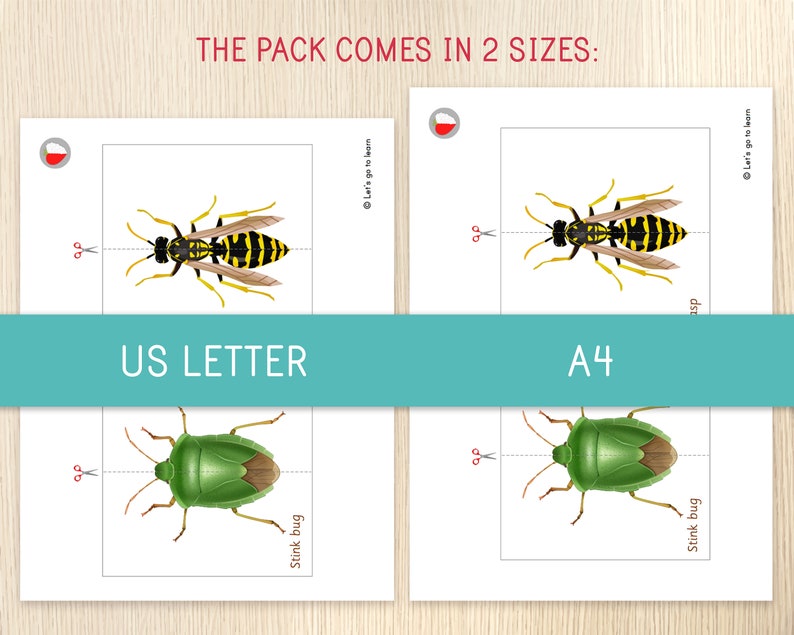 Insect Matching Activity 30 Insect Puzzles Symmetry Kids | Etsy