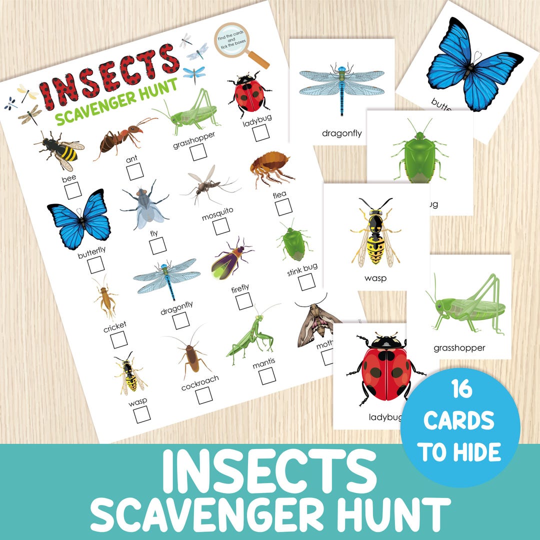 Insects Scavenger Hunt With Cards - Indoor Outdoor Bugs Treasure Hunt ...