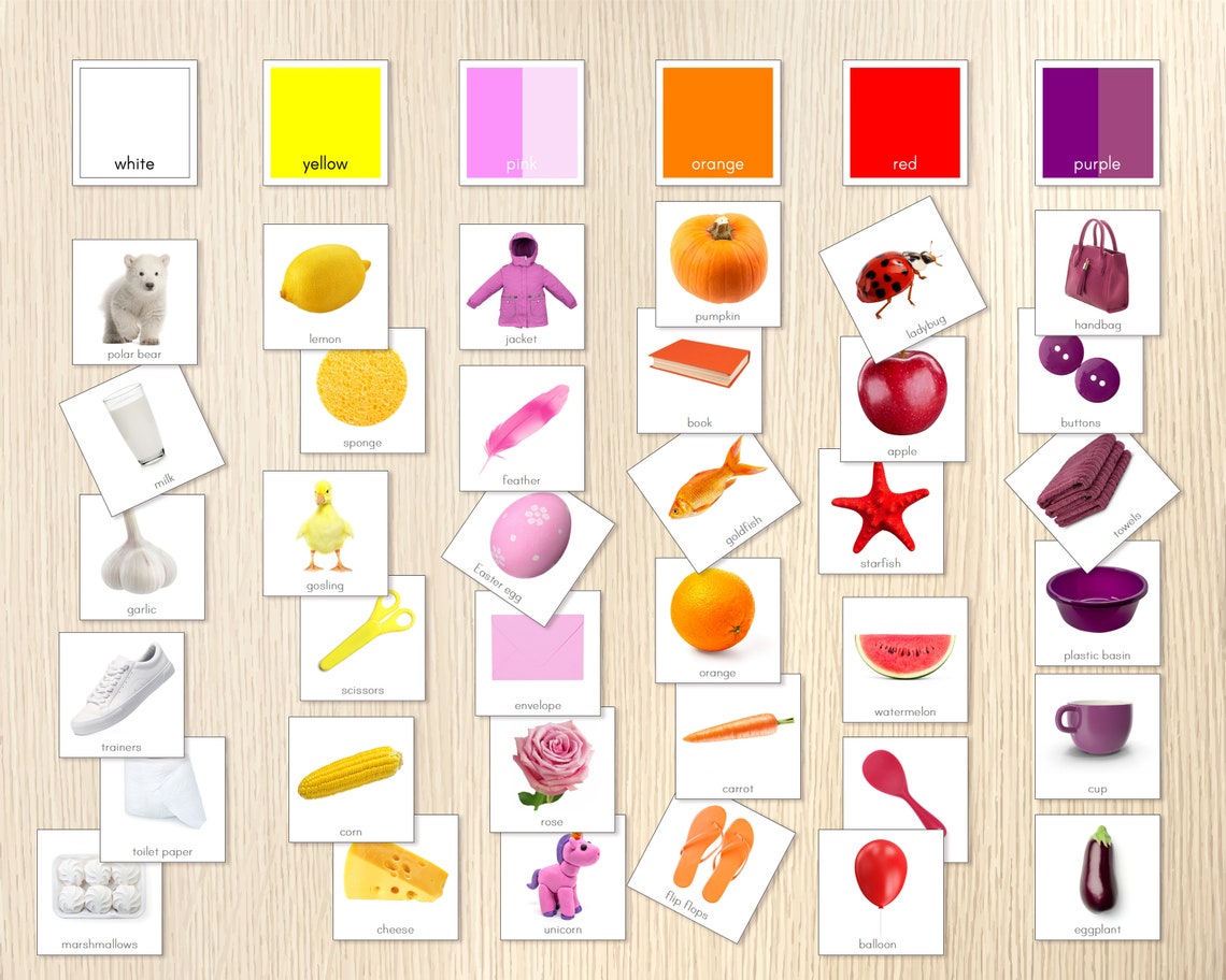 Color Sorting Cards Color Matching Montessori Activity | Etsy