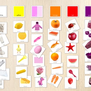 Color Sorting Cards, Color Matching, Montessori Activity, Toddler ...
